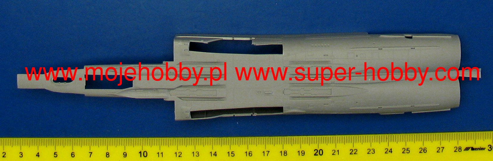 Mig-31 Foxhound Trumpeter 01679