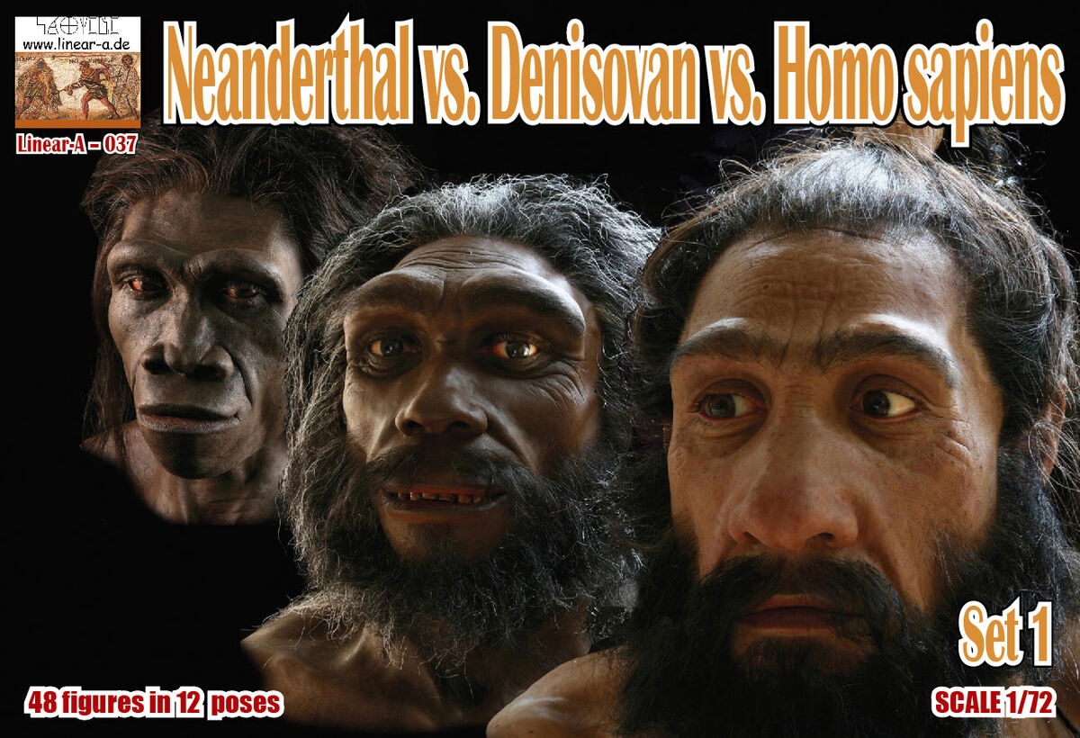 Neanderthal vs. Denisovan vs. Homo sapiens Set 1 Linear-A -037