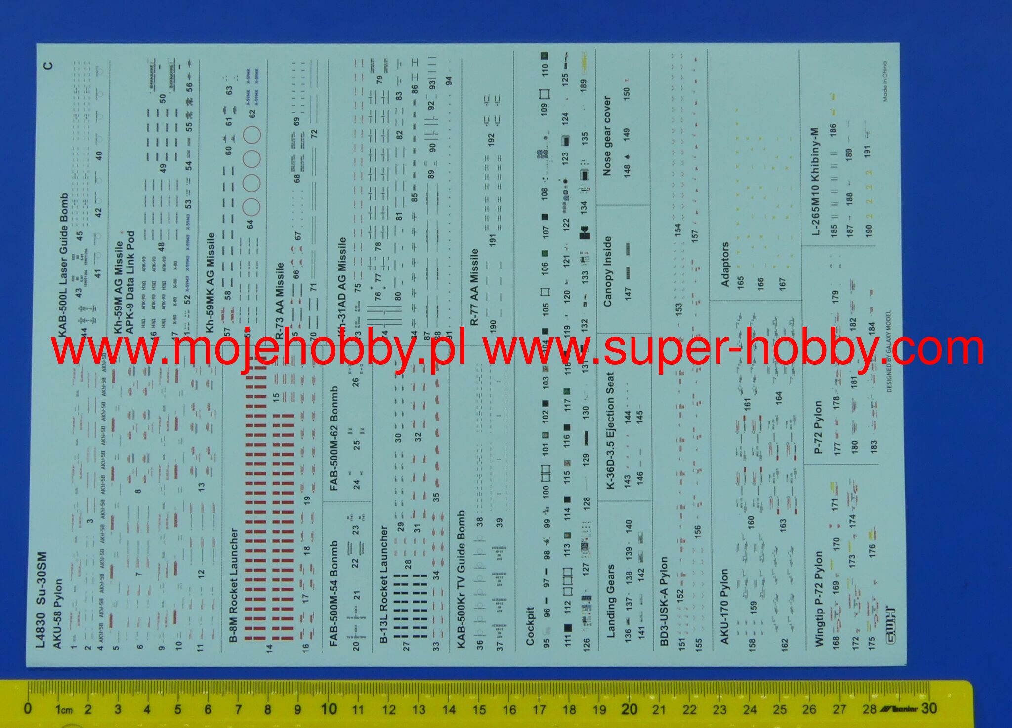 Su-30SM "Flanker-H" Multi-Role Fighter Lion Roar -L4830