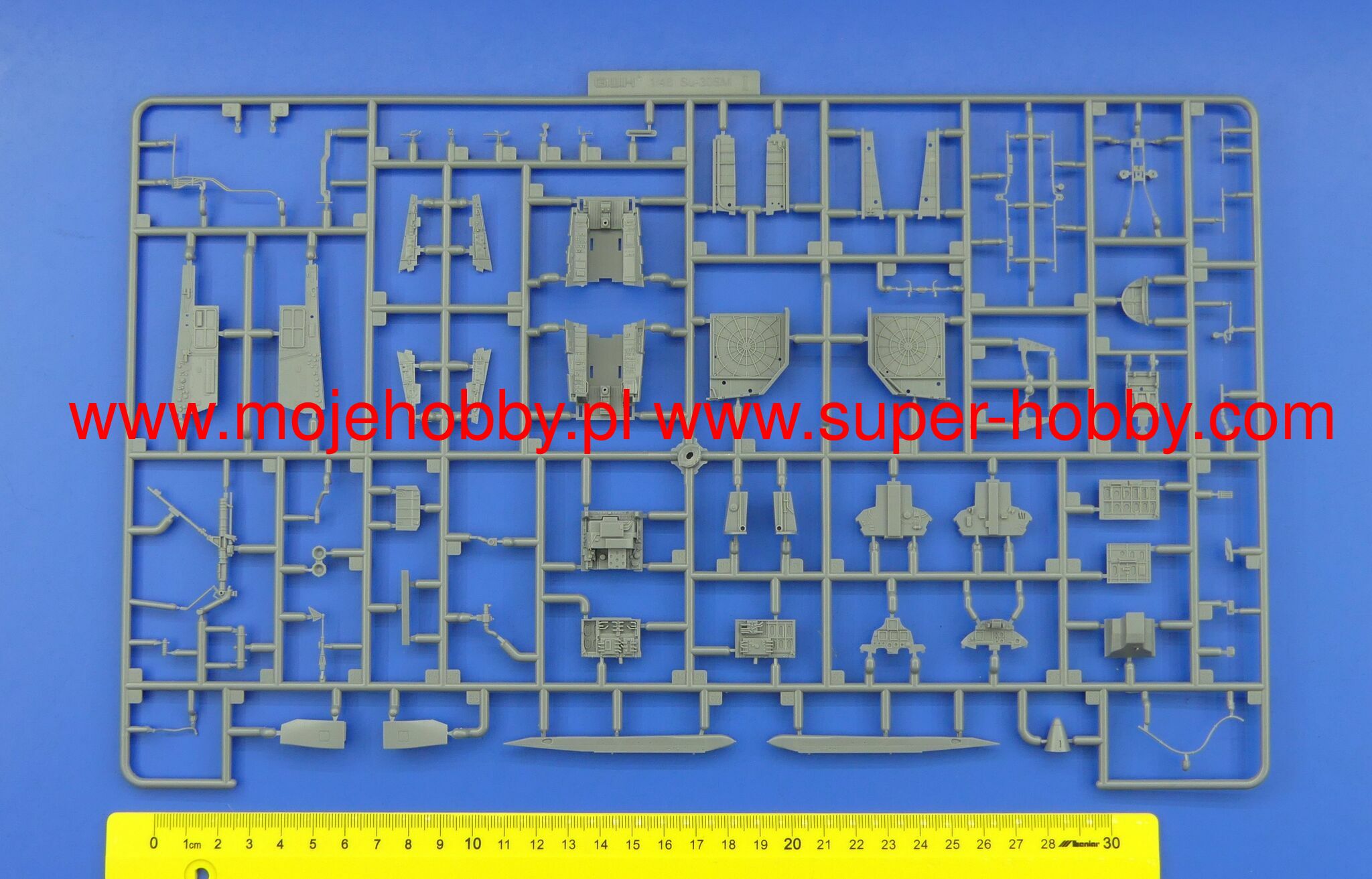 Su-30SM "Flanker-H" Multi-Role Fighter Lion Roar -L4830