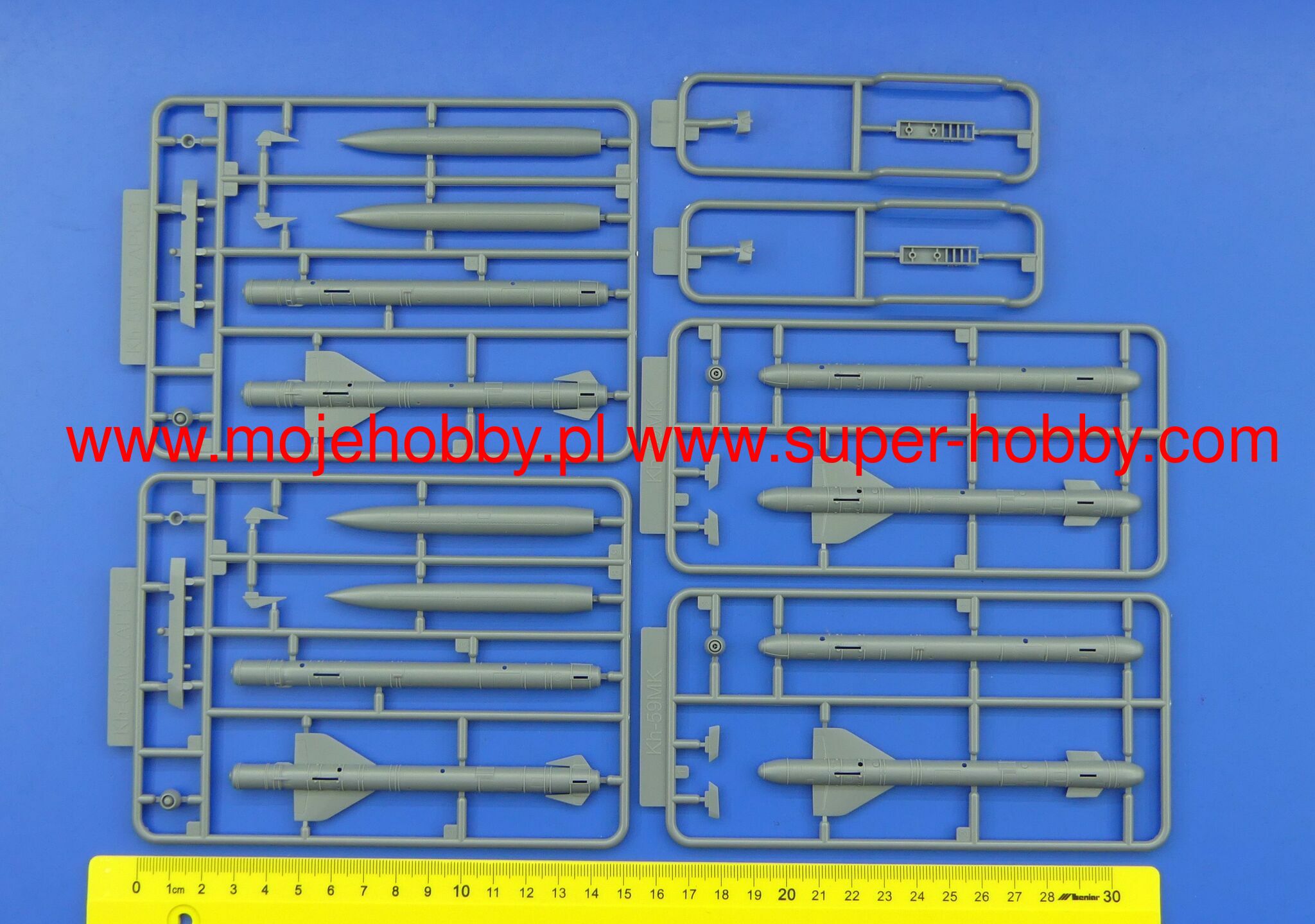 Su-30SM "Flanker-H" Multi-Role Fighter Lion Roar -L4830