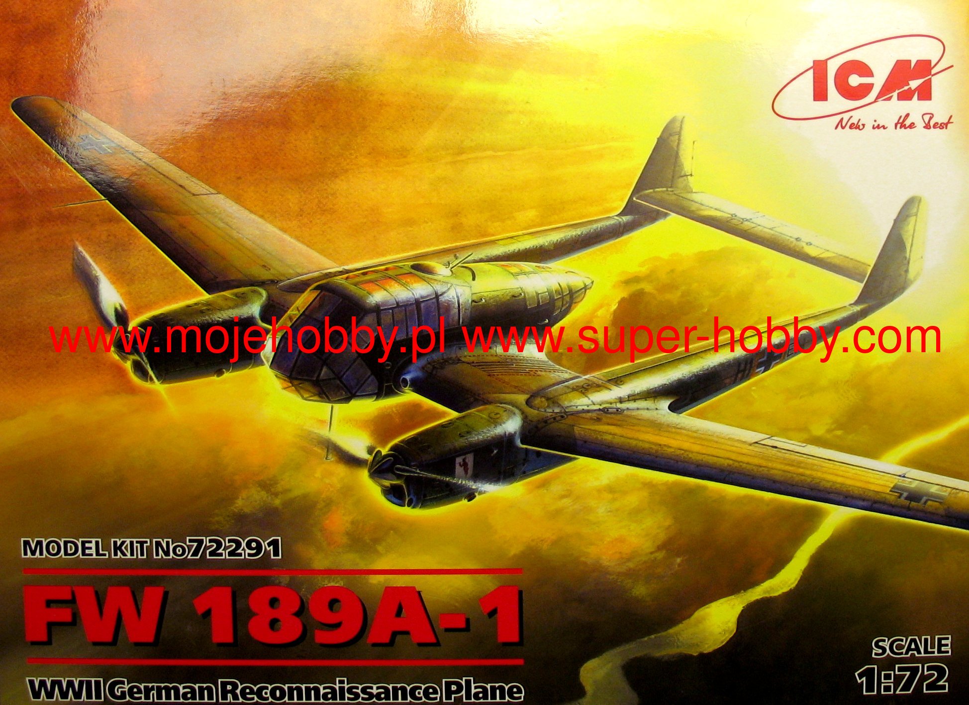 Fw 189A-1 WW2 German Reconnaisance plane ICM 72291
