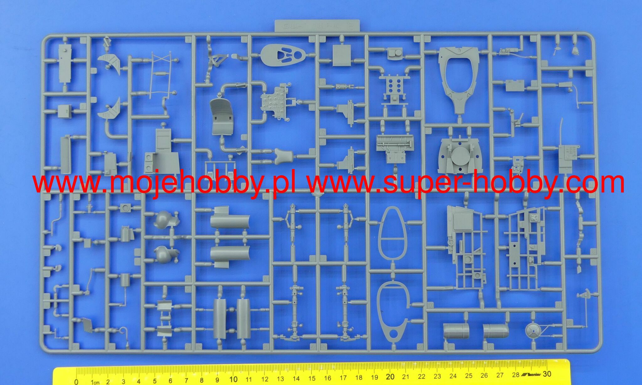 P-40B Curtiss Warhawk "Pearl Harbor" Lion Roar -L3202