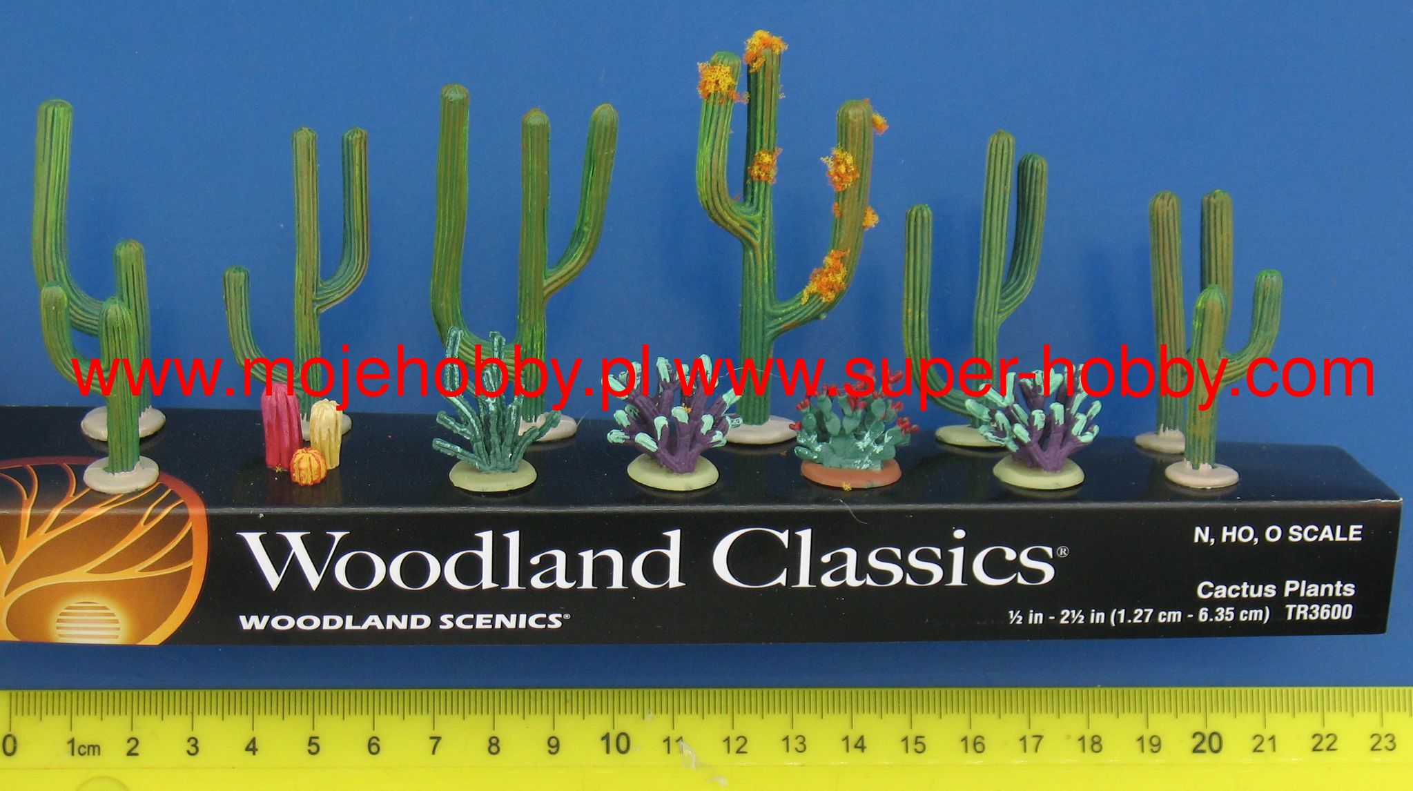 1/2" - 2 1/2" Classic Cactus Plants 1 (3 / Pk) Woodland Scenic TR3600